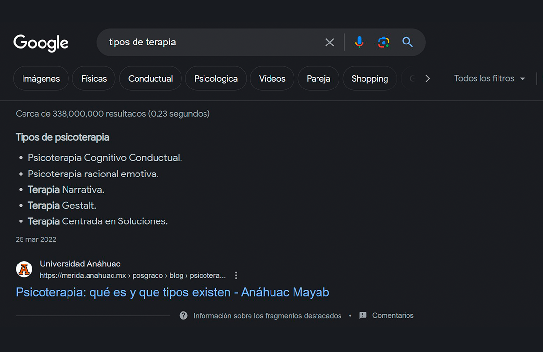 ¿Qué son los rich snippets y cómo crearlos? (incluye ejemplos)
